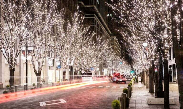 How To Decorate Outdoor Trees With Lights | Home Artic